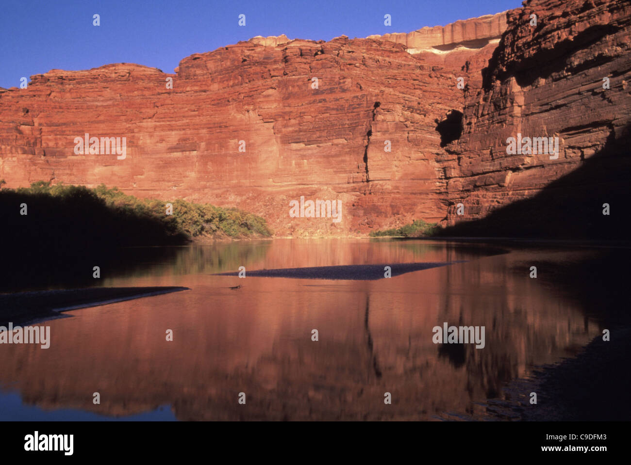 Rocky cliffs at Colorado River, Colorado, USA Stock Photo - Alamy