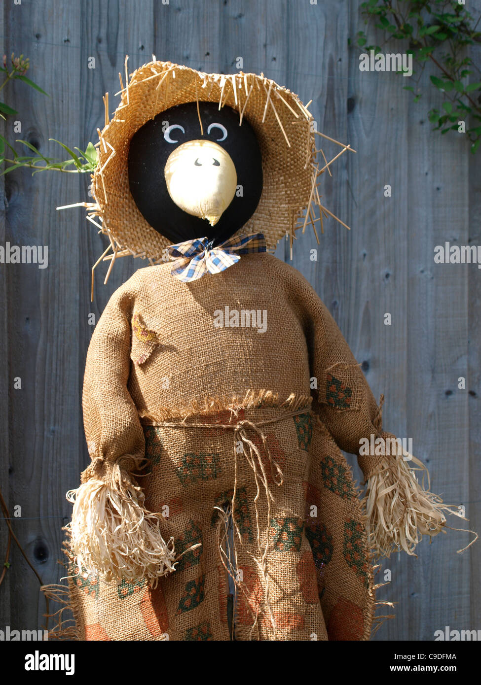 Scarecrow crow hi-res stock photography and images - Alamy