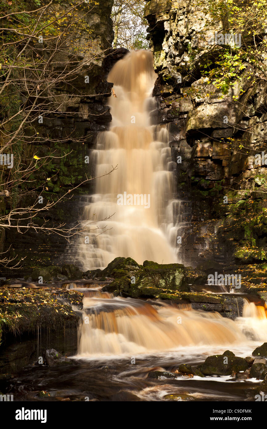Mill Gill Force, Whitfield Beck, Askrigg, Wensleydale, Yorkshire Dales ...