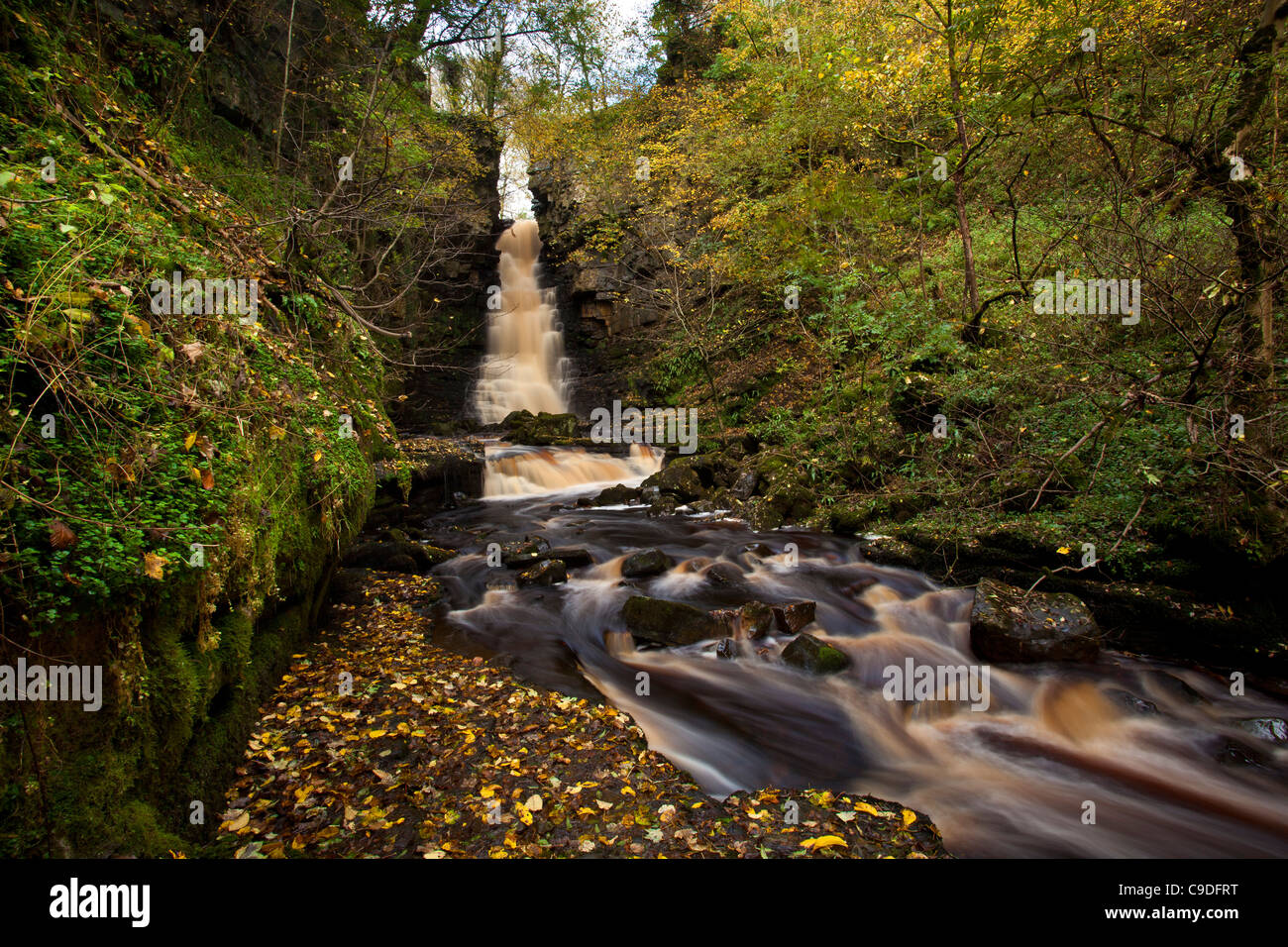 Mill Gill Force, Whitfield Beck, Askrigg, Wensleydale, Yorkshire Dales ...