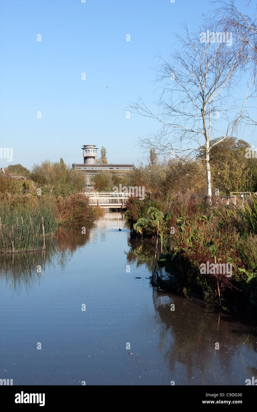 Slimbridge Wetland Centre Stock Photo - Alamy