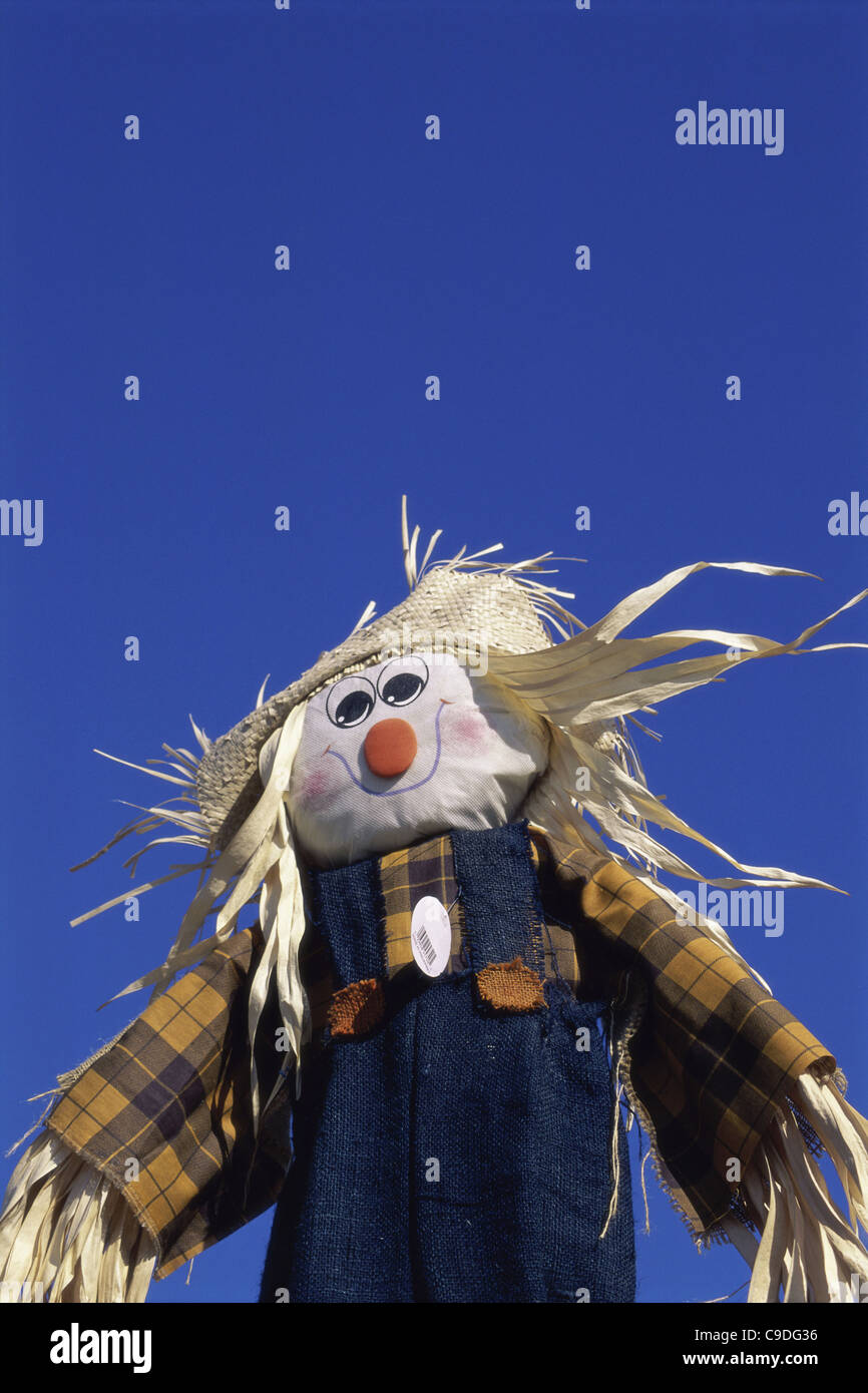 Scarecrow agricultural equipment hi-res stock photography and images ...