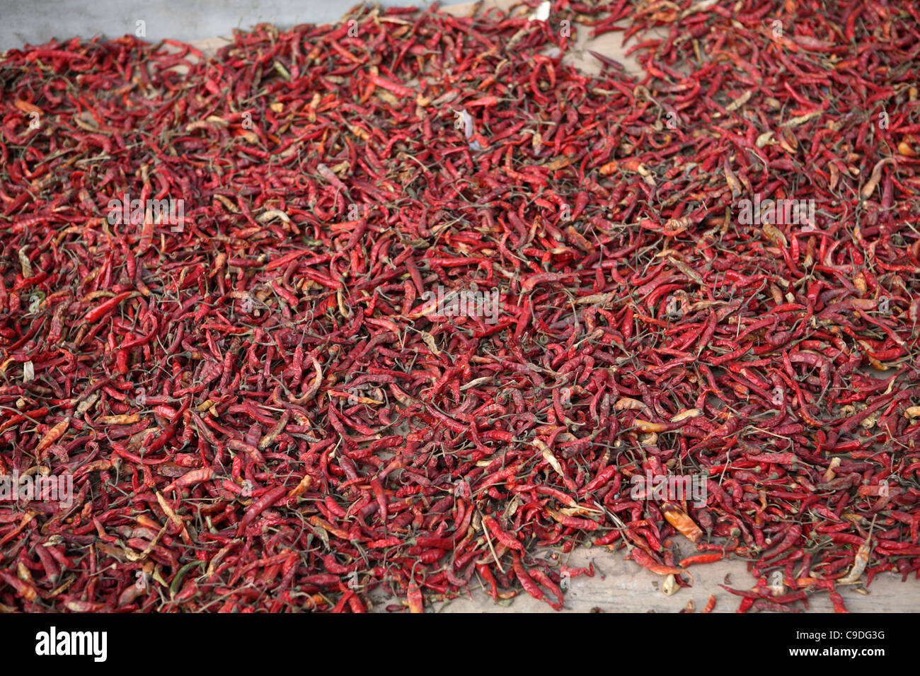 red chillies drying in sunshine outside residence, French Quarter ...