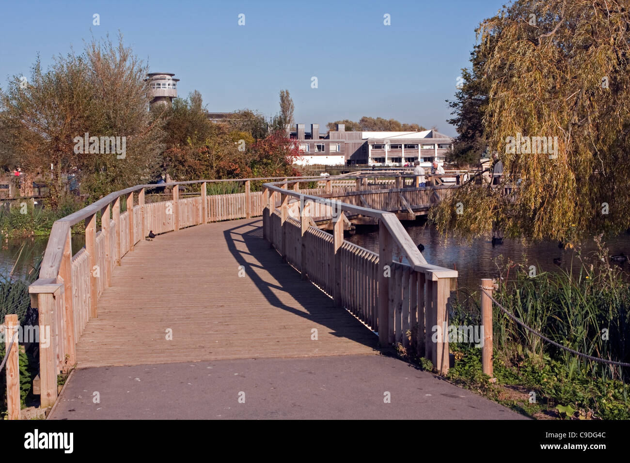 Slimbridge Wetland Centre Stock Photo - Alamy