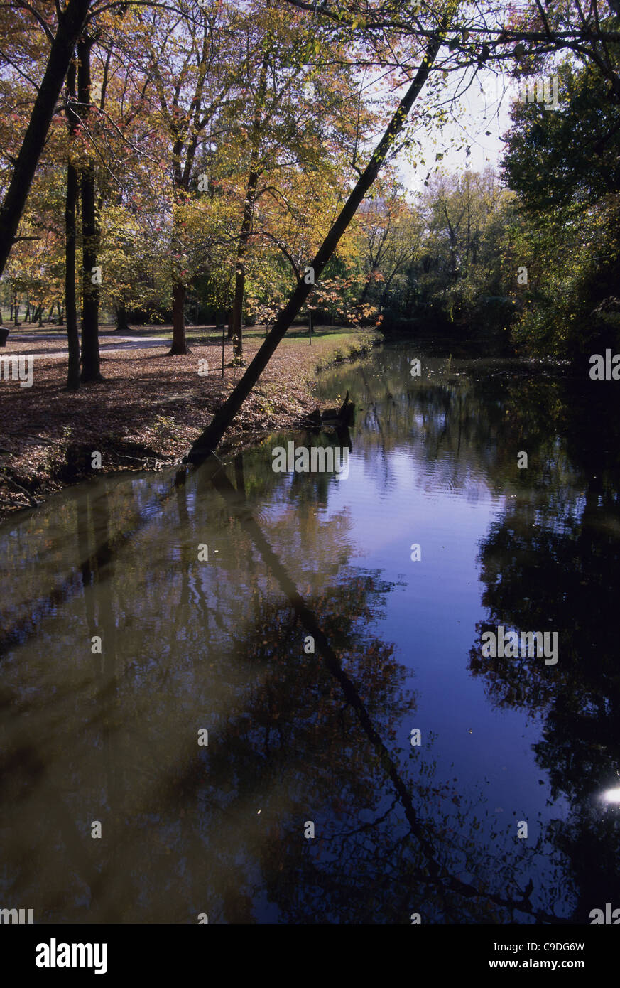 Trees in autumn, Silver Lake Park, Dover, Delaware, USA Stock Photo - Alamy