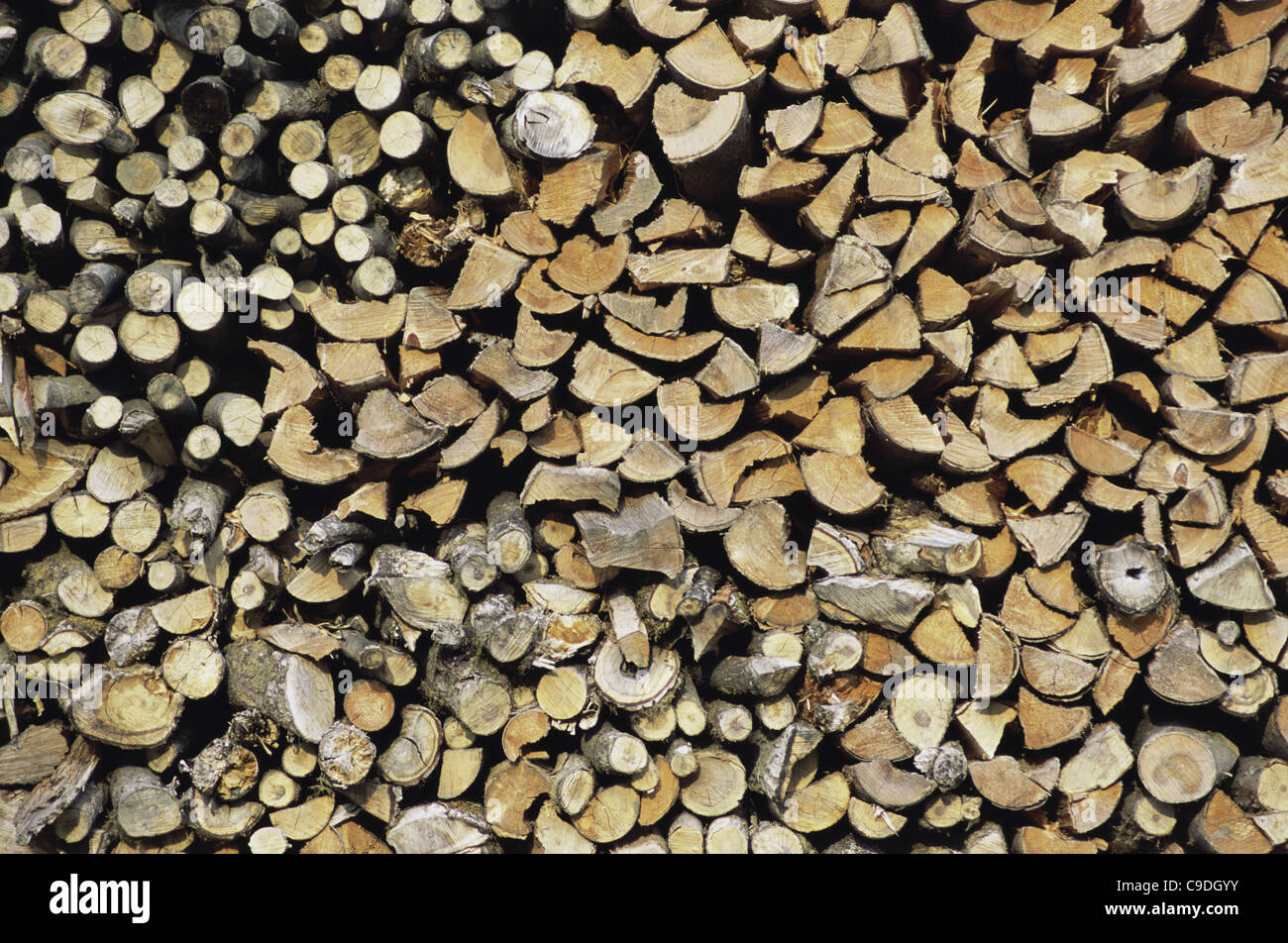 Stack logs outdoors in hi-res stock photography and images - Alamy