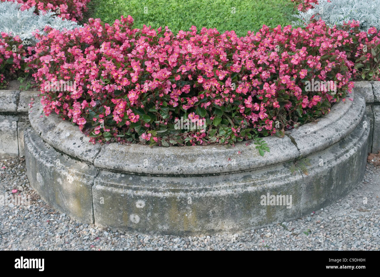 Concrete border decorative flower bed hi-res stock photography and ...