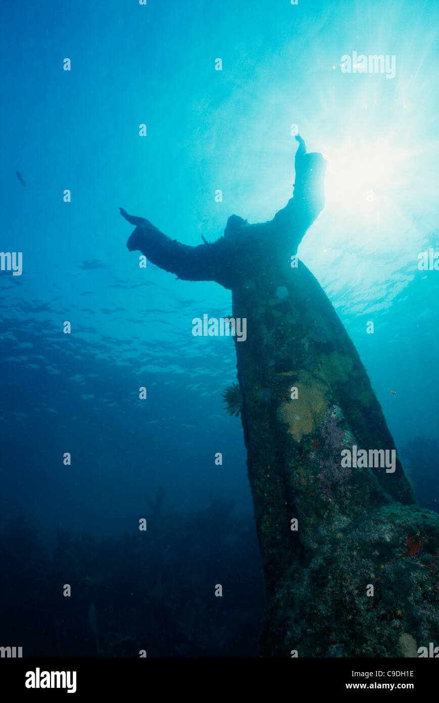 Low angle view of a statue, John Pennekamp Coral Reef State Park ...