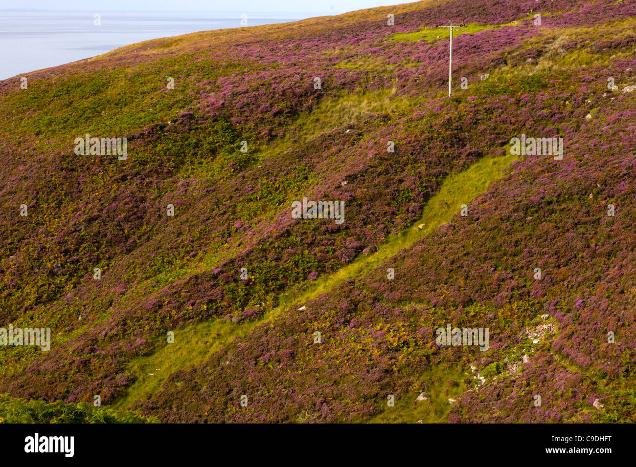 Rua reidh rubha reidh lighthouse hi-res stock photography and images ...