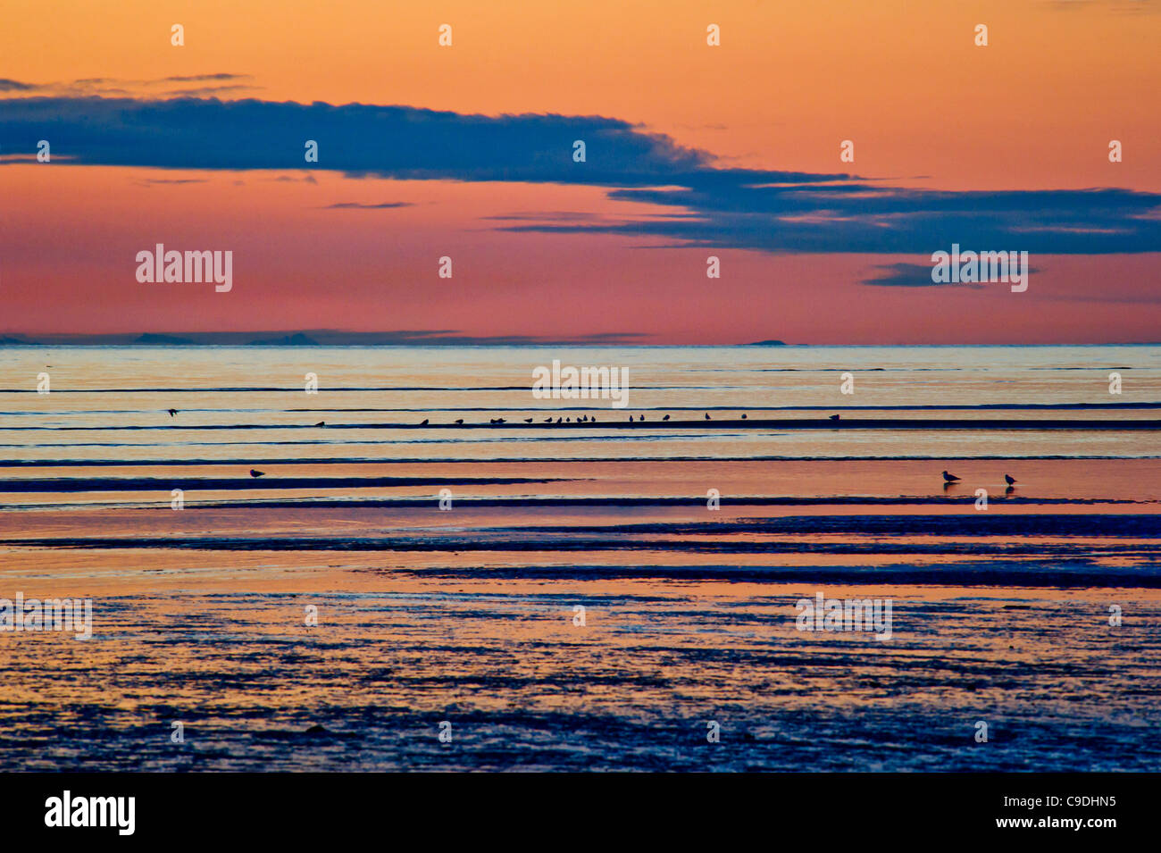 Vancouver island landscapes hi-res stock photography and images - Alamy