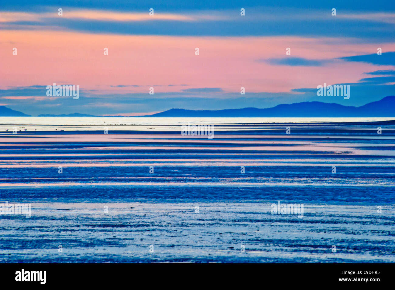 beach coastal horizon Sea Island Vancouver BC Seaside scenery water ...