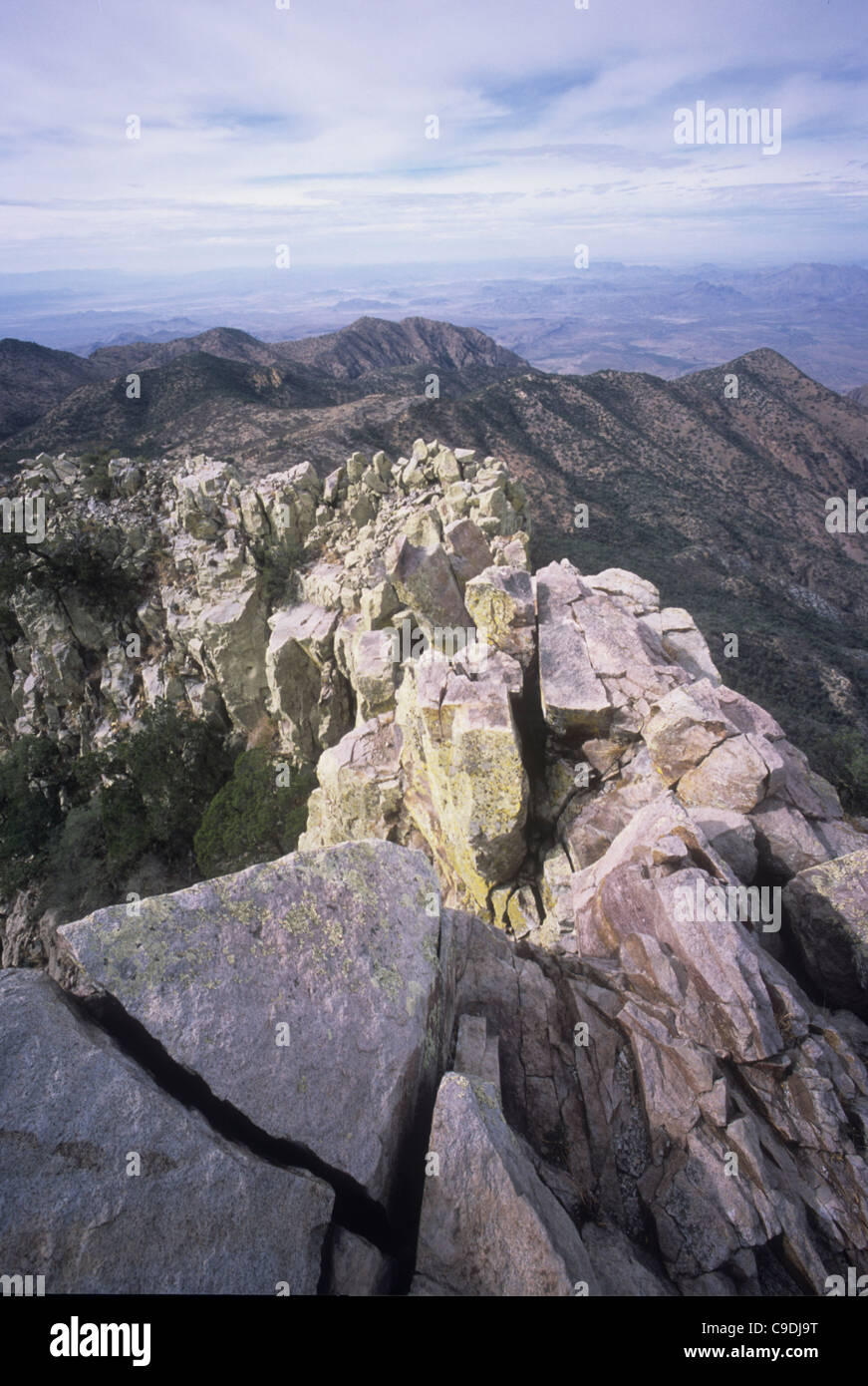 The panoramic view from Emory Peak (7,835 feet) the highest point in ...