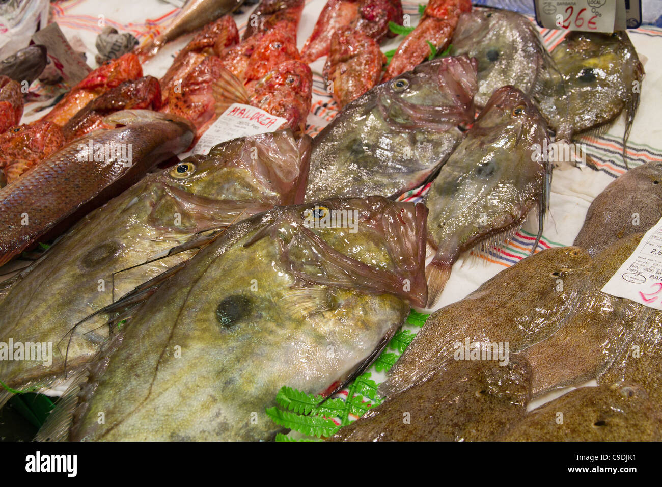 Mercat olivar mallorca hi-res stock photography and images - Alamy