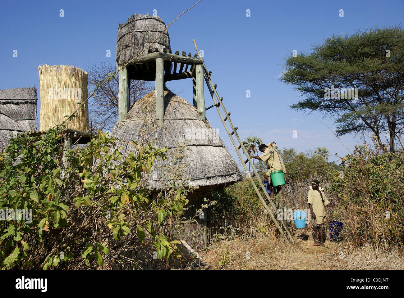 Tanzania wildlife safari thatch covered lodge Stock Photo - Alamy