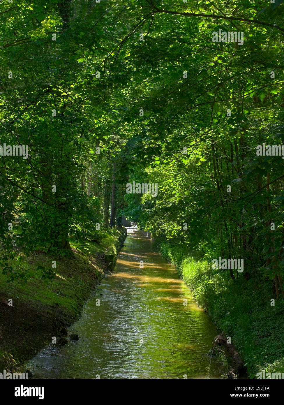 River vertical hi-res stock photography and images - Alamy