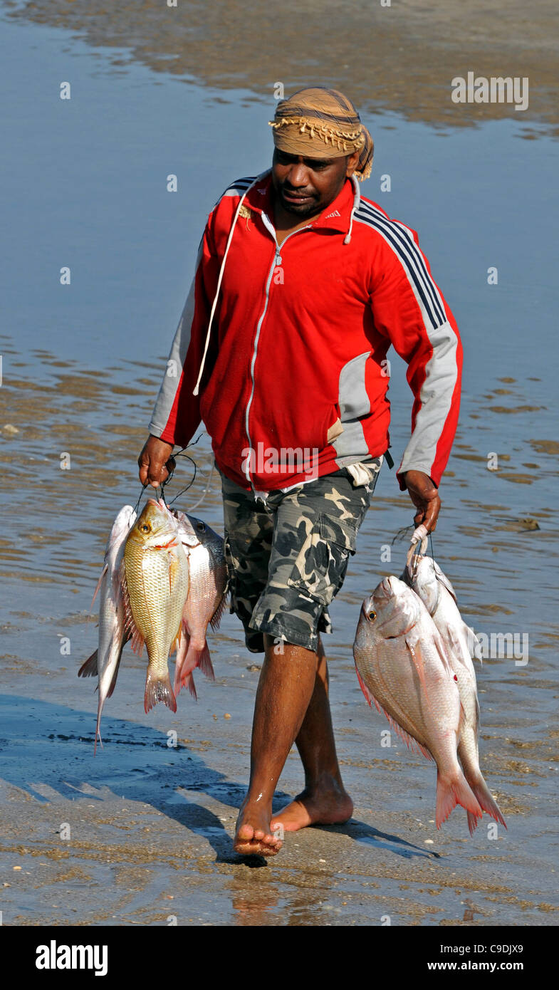Barka Fish Market High Resolution Stock Photography and Images - Alamy