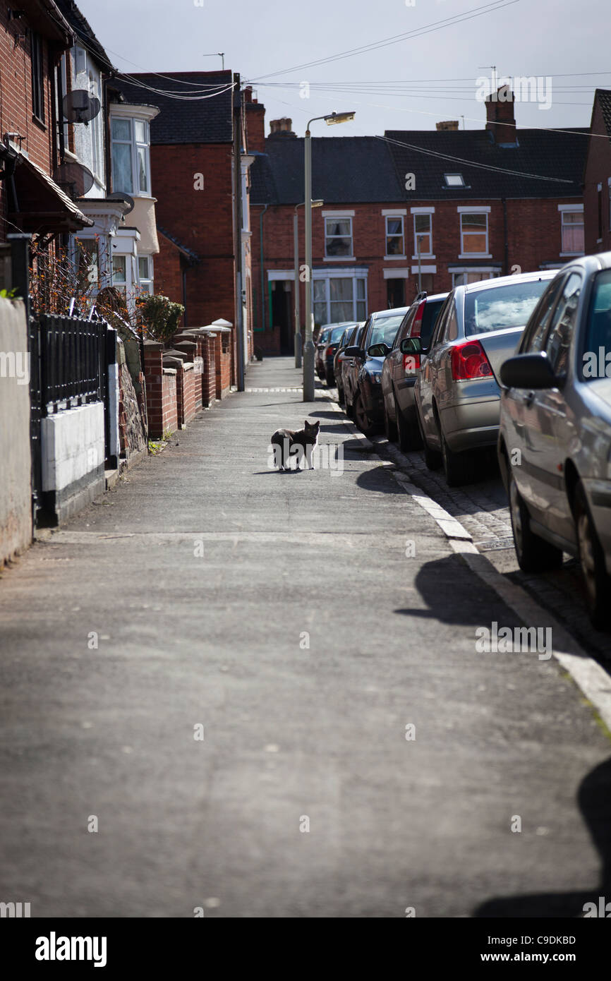 Terrace street uk and lonely hi-res stock photography and images - Alamy