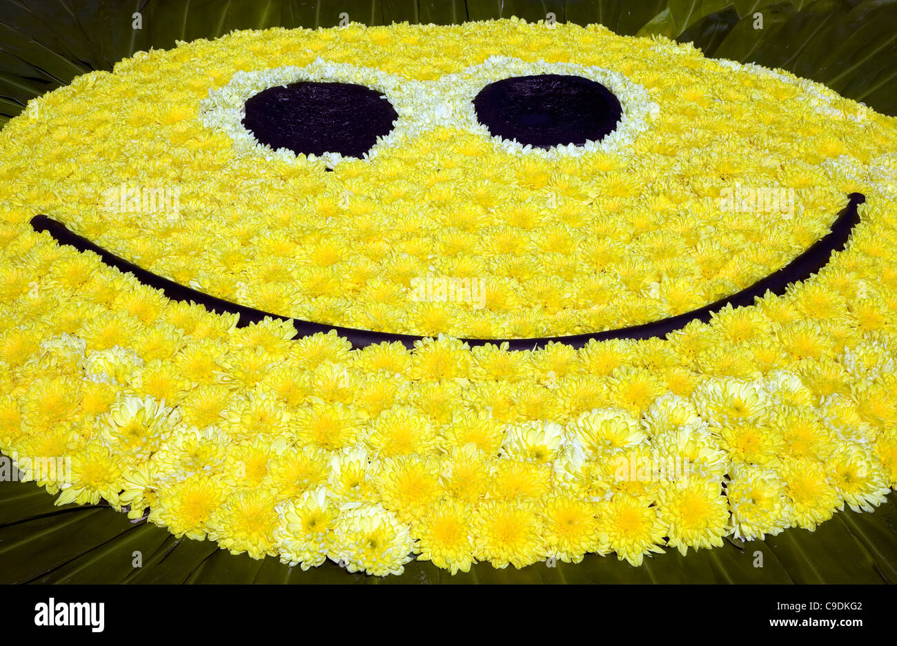Big yellow smile face made from flowers Stock Photo - Alamy