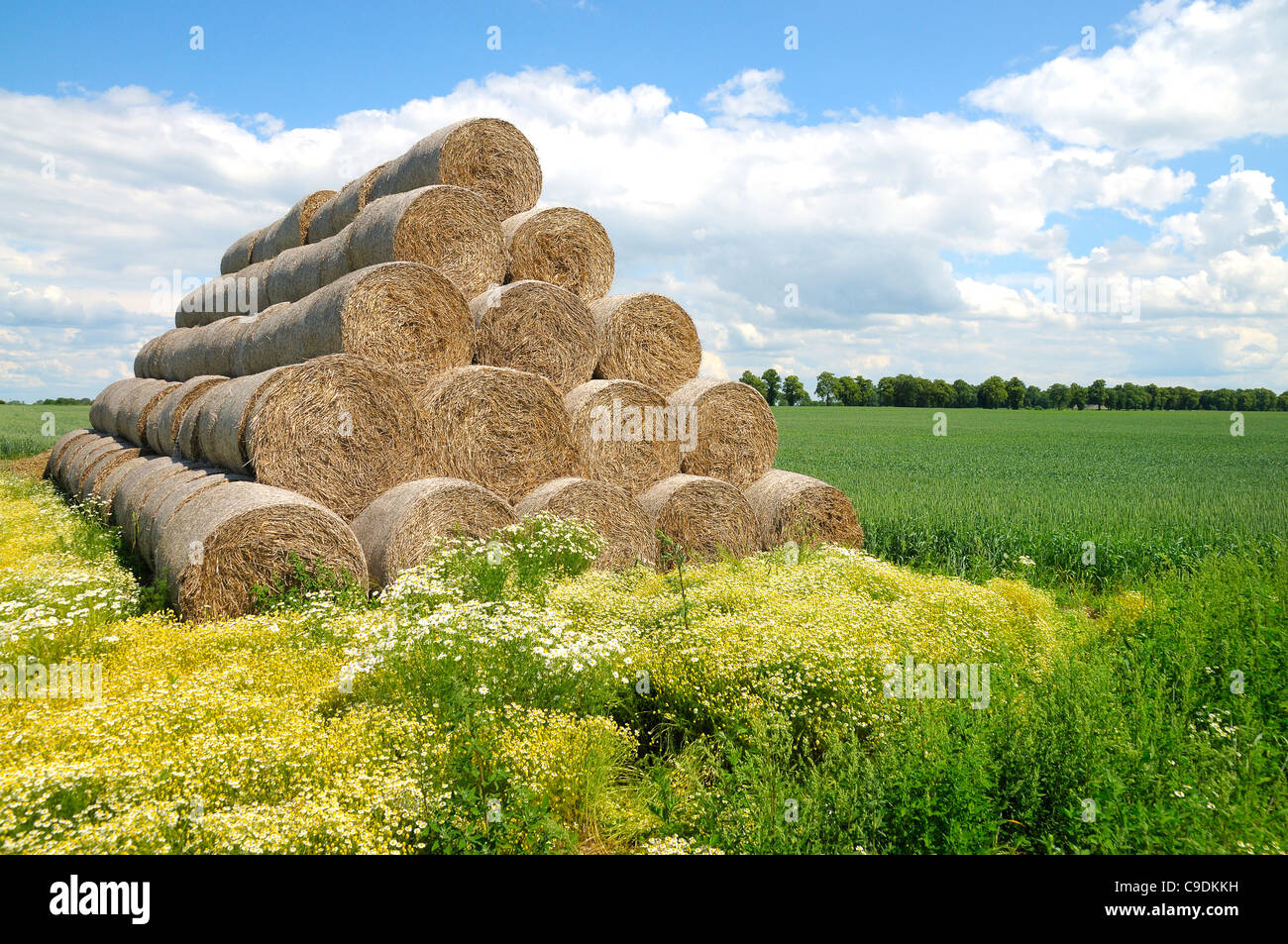Big stack of hay bale Stock Photo - Alamy