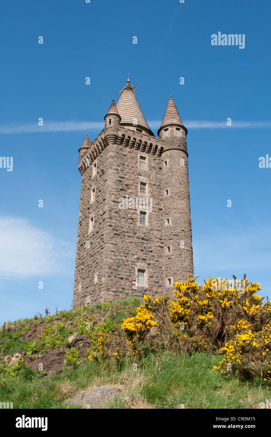 Scrabo tower hi-res stock photography and images - Alamy