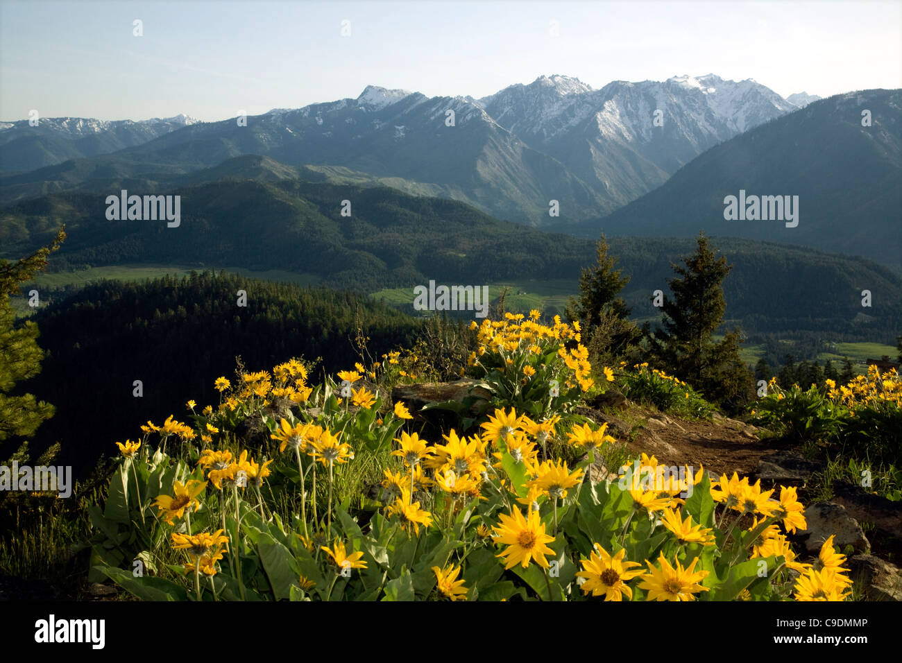 Sauer river hi-res stock photography and images - Alamy
