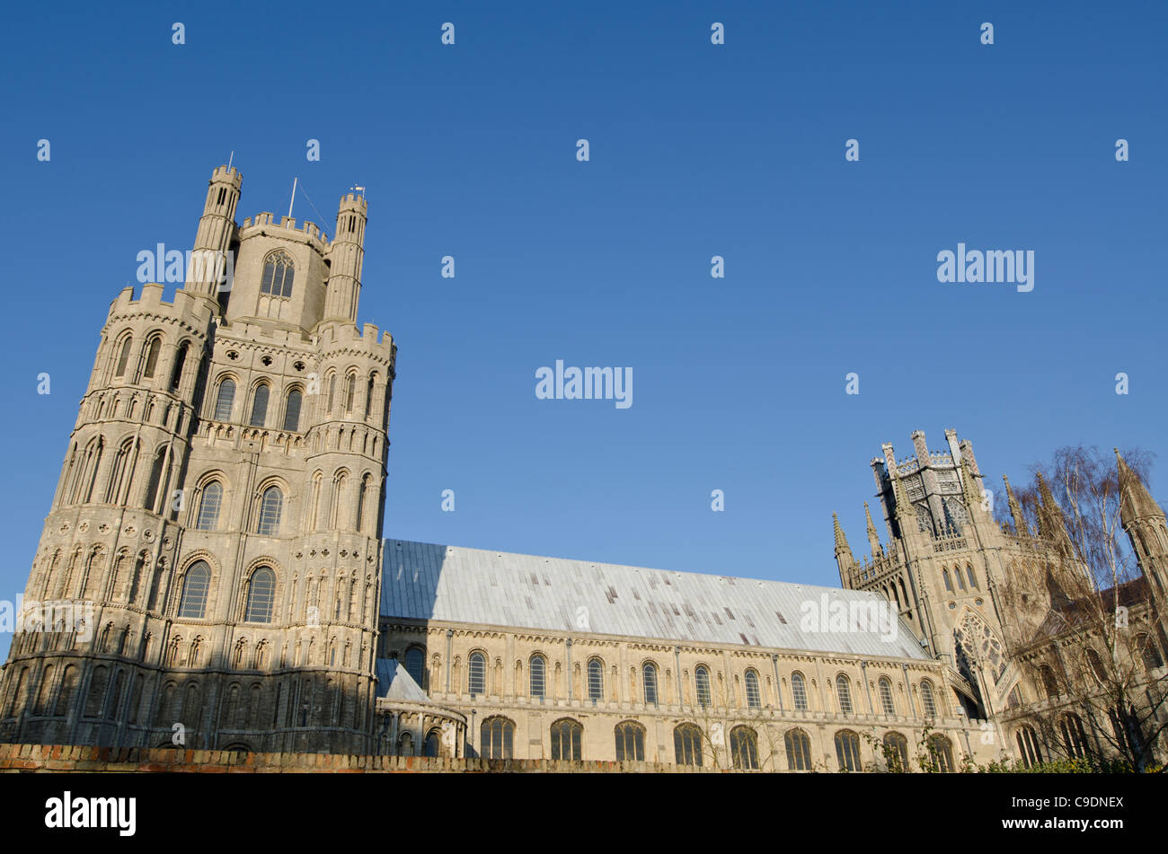 Ely Cathedral, Cambridgeshire, Uk South side Stock Photo - Alamy
