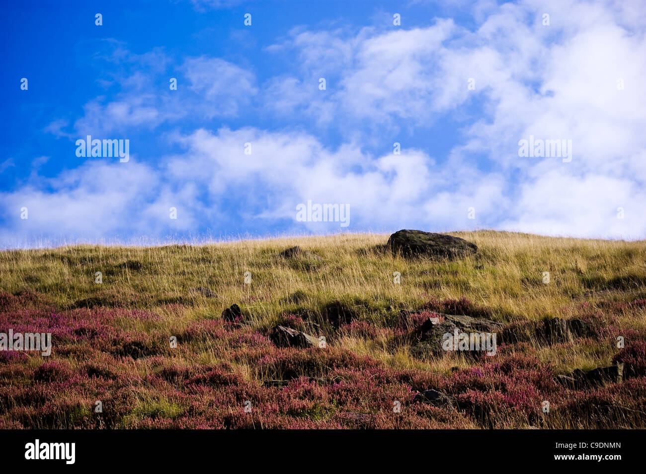 Heather and sky Crowden peak district Stock Photo - Alamy