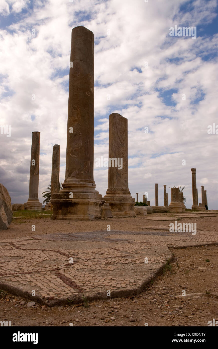 Al-mina archaeological site, mosaic street & Roman columns, Tyre ...