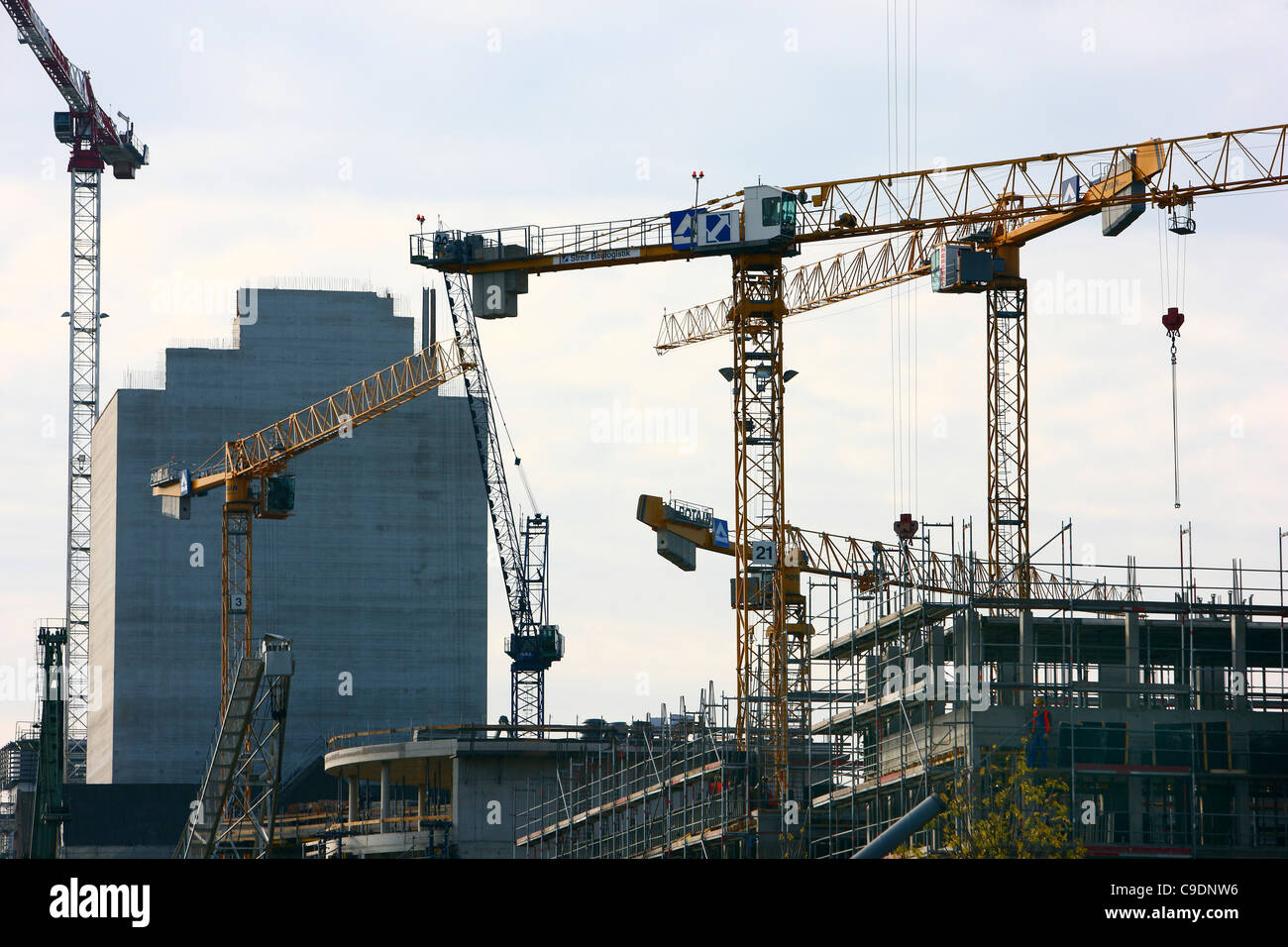 Construction site of a new administration building. Construction cranes ...