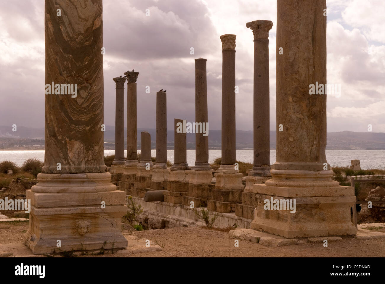Al mina archaeological site hi-res stock photography and images - Alamy