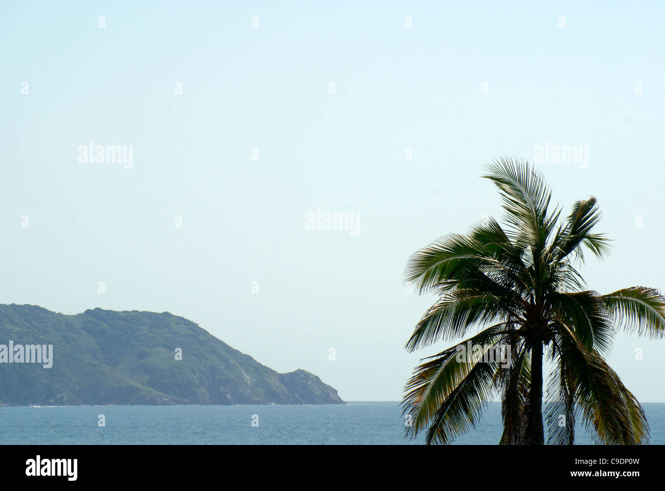 Palm Tree High Resolution Stock Photography and Images - Alamy