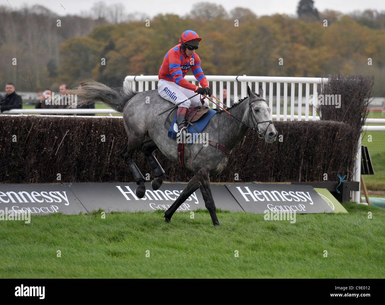 Roalco De Farges ridden by Richard Johnson takes the last before going ...