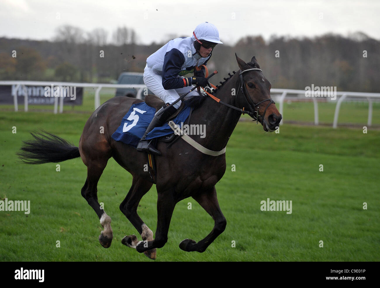 Carriglea Wood ridden by Samuel Walton during the Sportingbet Novices ...