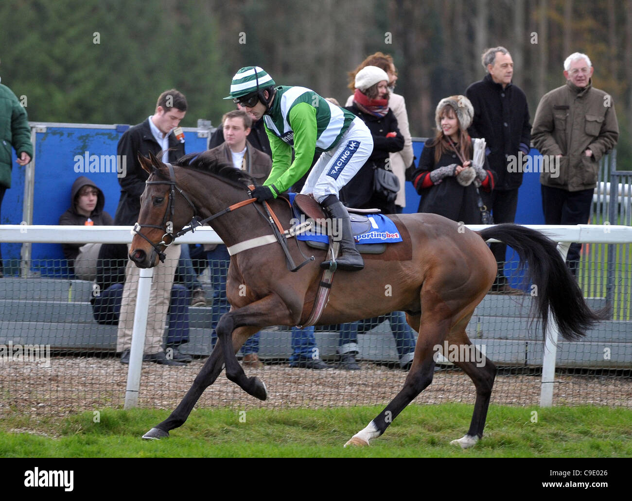 Ruby walsh hi-res stock photography and images - Alamy