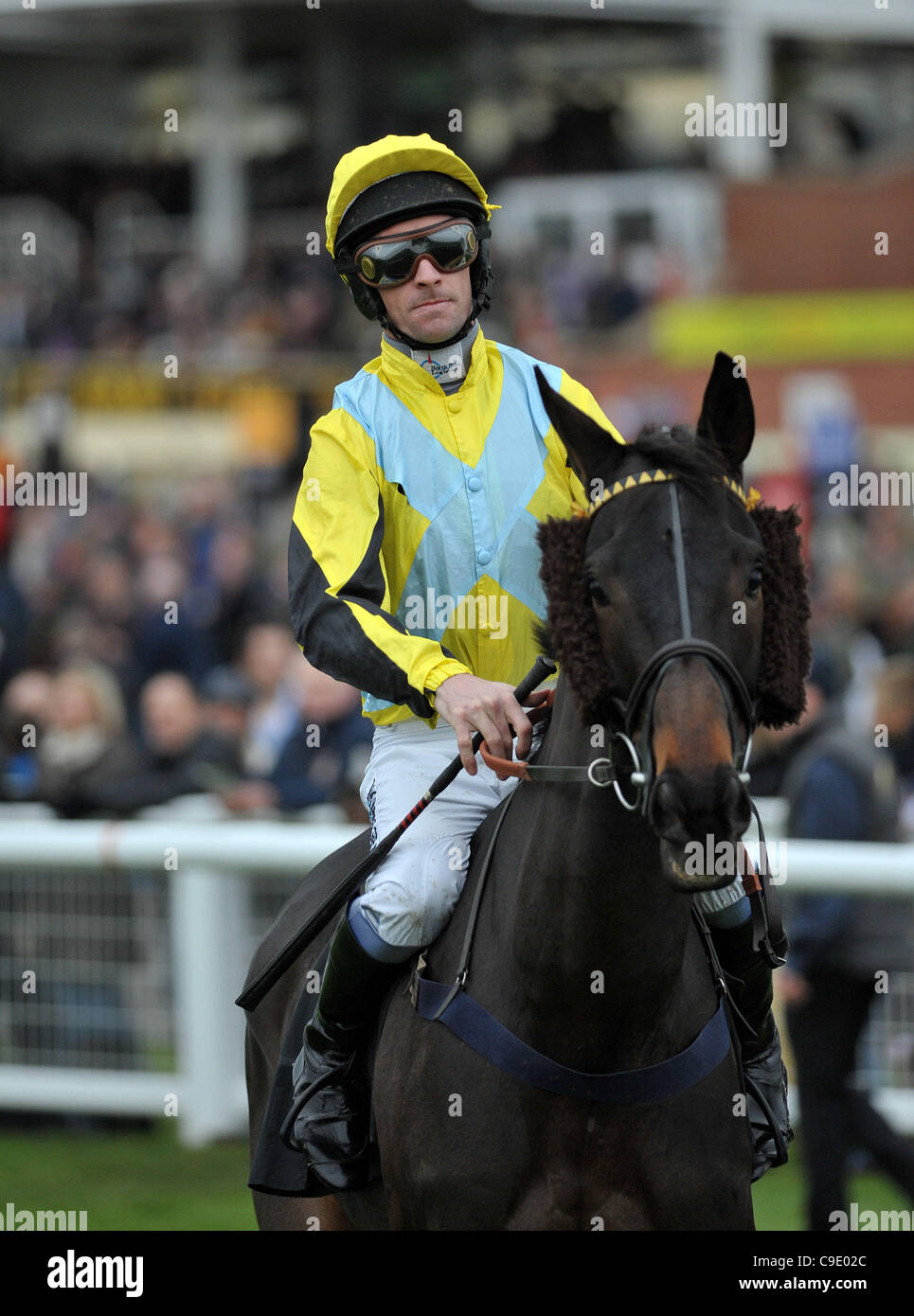 Paul Carberry ridding Muirhead before the Hennessy Gold Cup Chase at ...