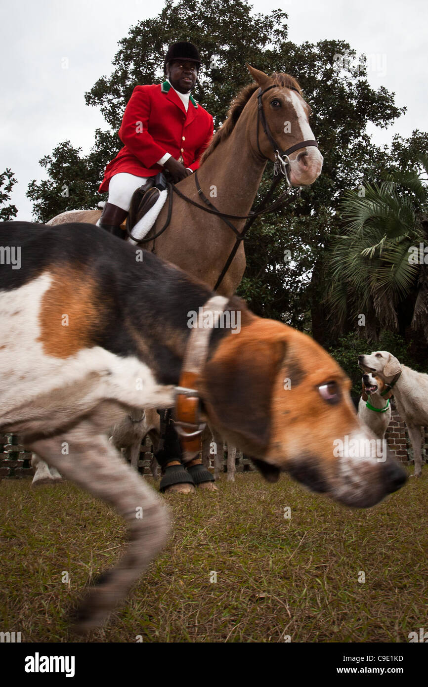 Huntsman Jamie Green leads the fox hounds at the start of the fox ...