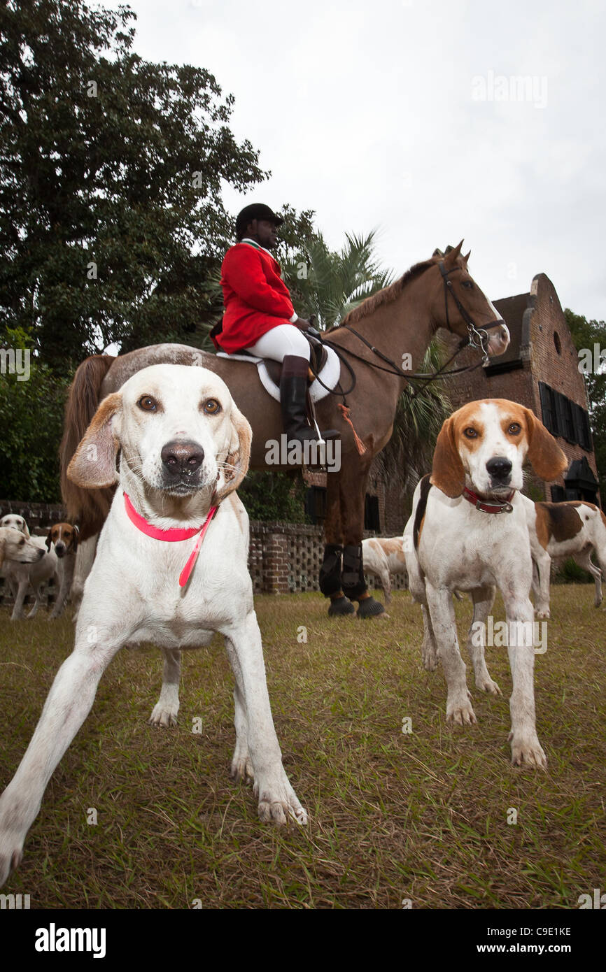 Huntsman Jamie Green surrounded by his fox hounds after the Blessing of ...