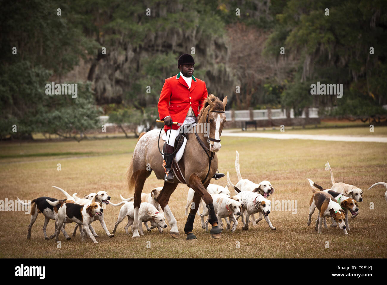Foxhunt High Resolution Stock Photography and Images - Alamy
