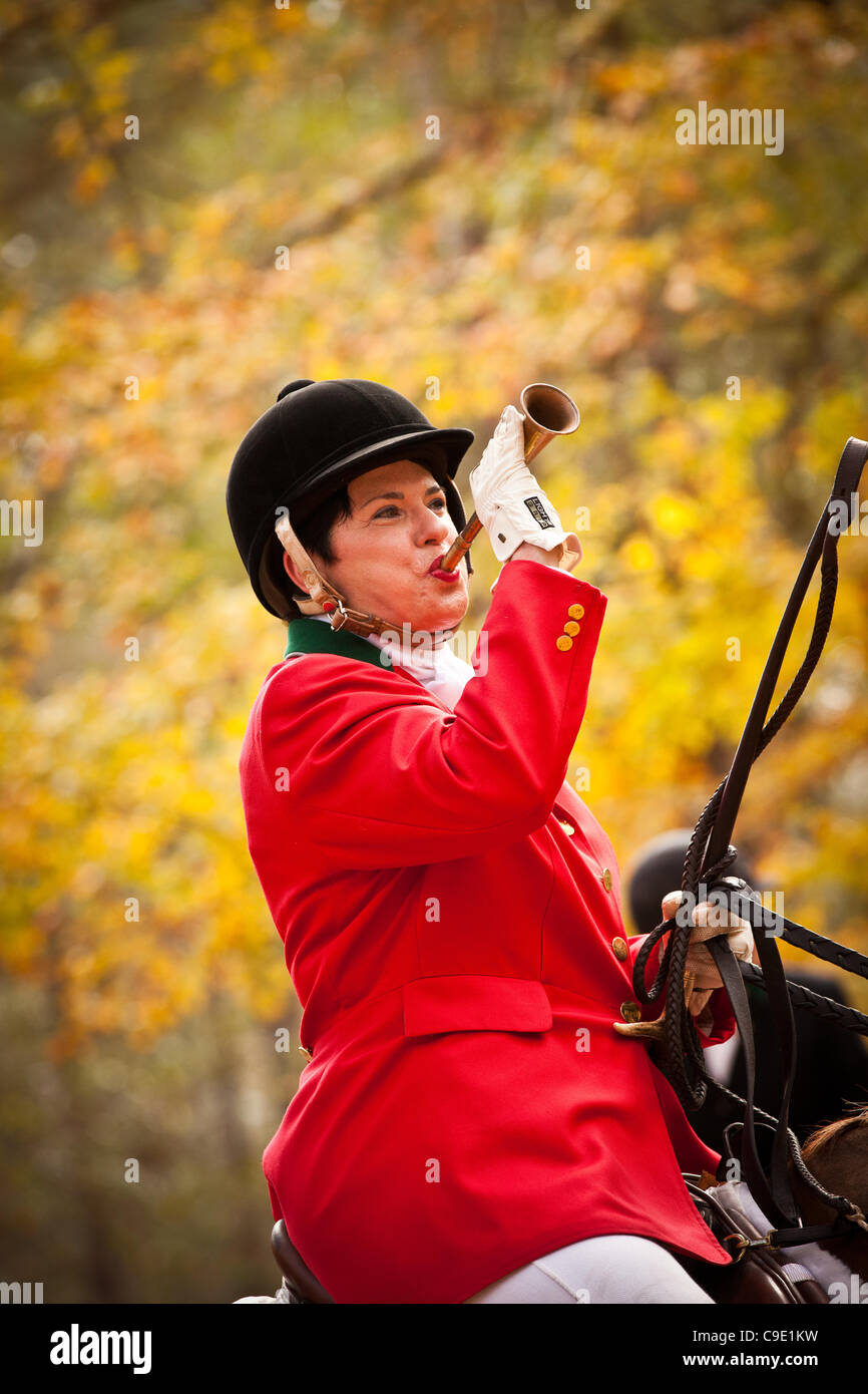 Fox horn hi-res stock photography and images - Alamy