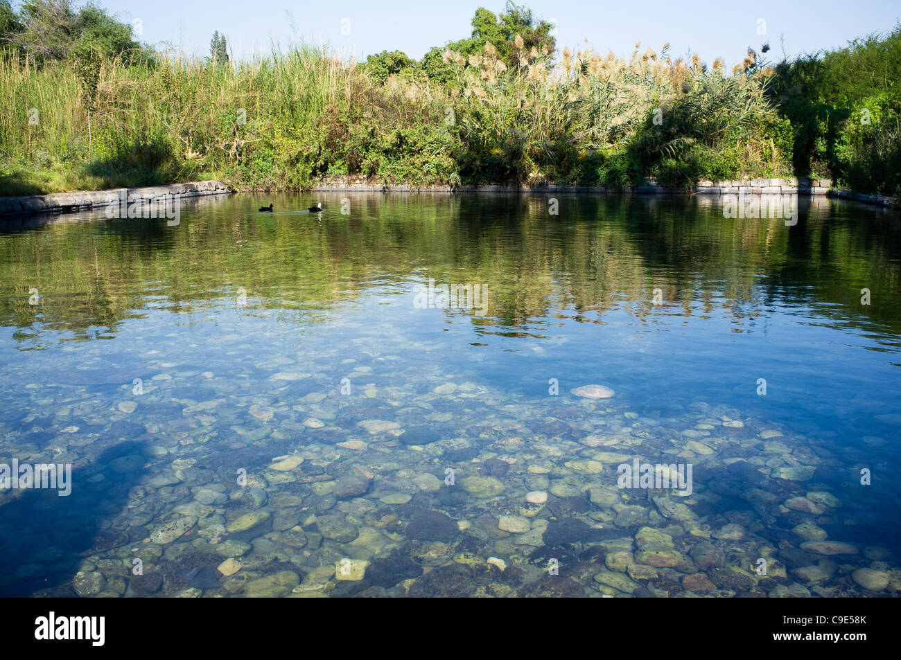 Ein-Nun, the Spring of "Nun" ("fish" in Aramaic) along the Gospel Trail ...