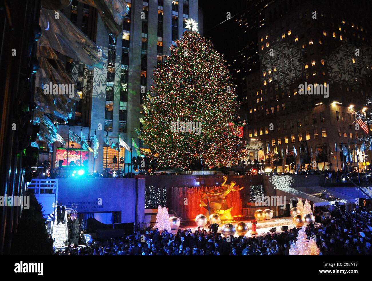 Rockefeller Center Christmas Tree at a public appearance for 79th ...