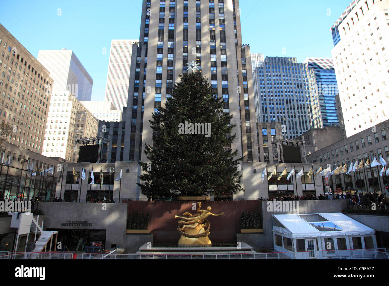 The Rockefeller Center Christmas tree, Manhattan, New York City, USA on ...