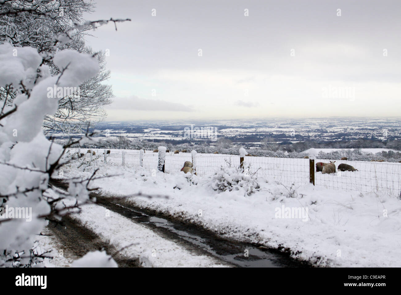 05/12/11 First real snowfall of the year blankets Glasgow. View of ...