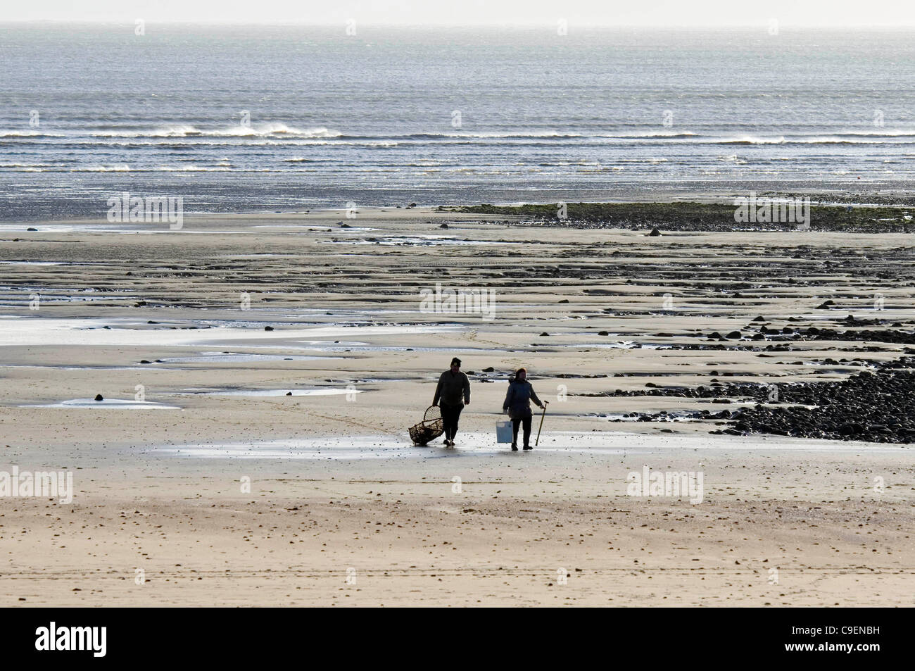 A couple of sea shellpickers walking across the sand on Swansea Bay ...