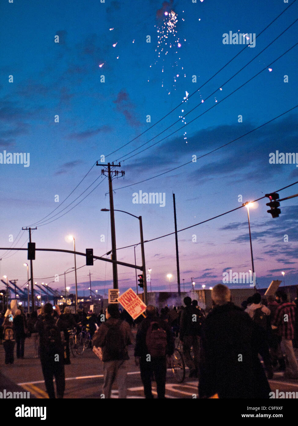 Fireworks burst above the marchers in the port of Oakland. Protesters ...
