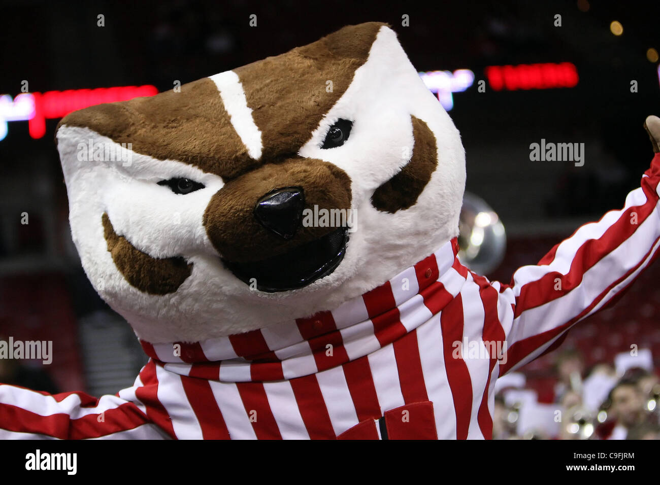 Bucky Badger High Resolution Stock Photography and Images - Alamy