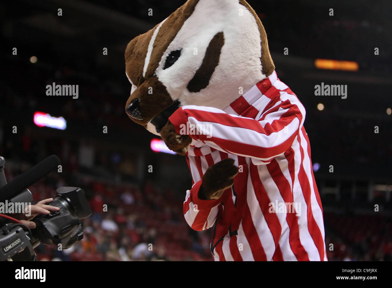Dec. 15, 2011 - Madison, Wisconsin, U.S - Bucky Badger shows off for ...