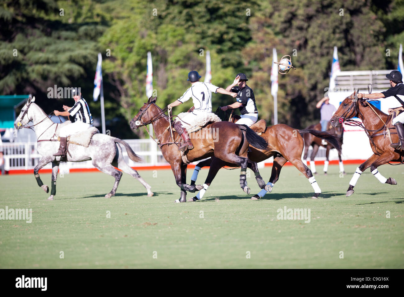 Grand Final of 70th Argentina Pato Open. Pato, also known as Horseball ...