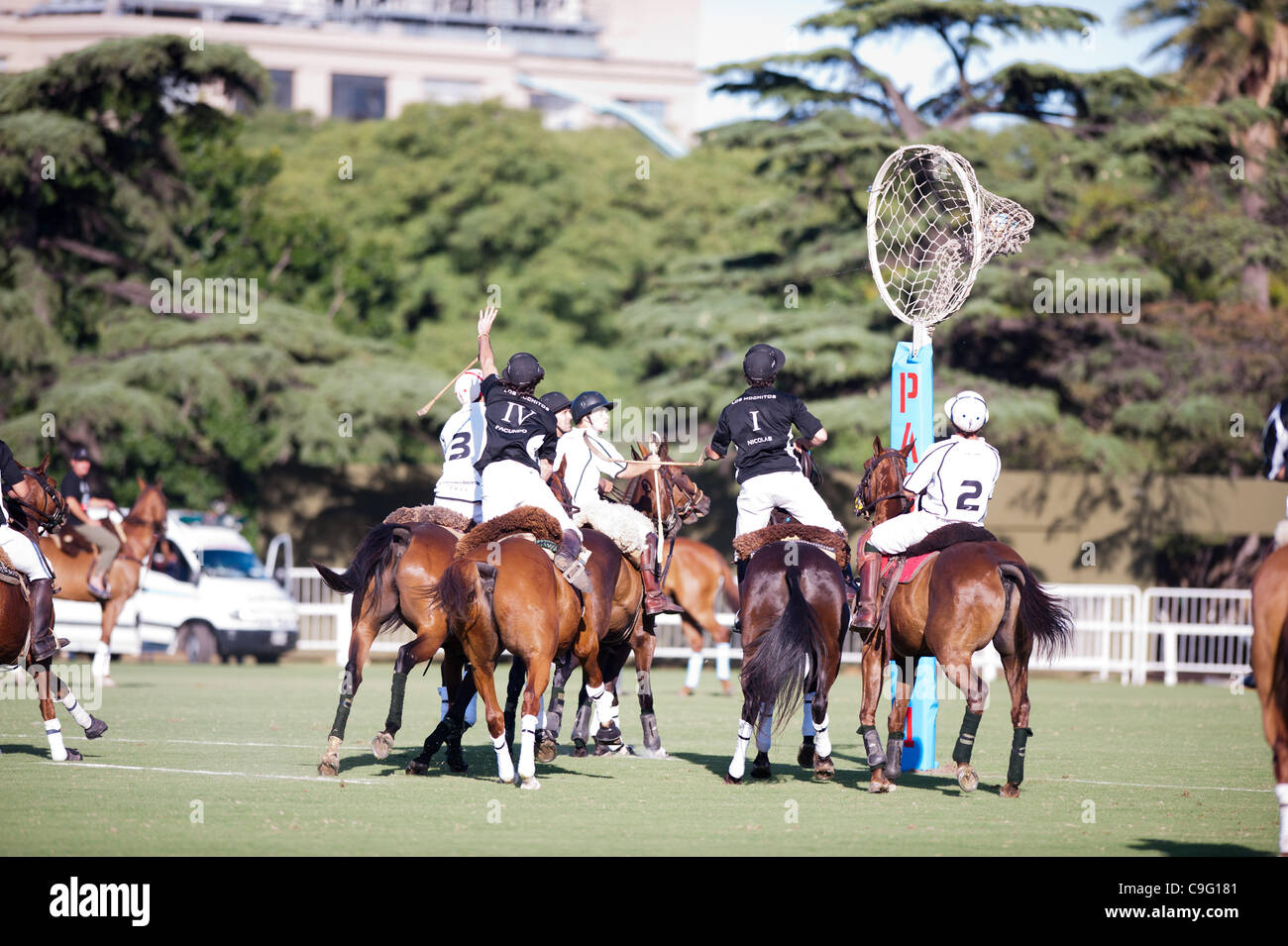 Pato Argentina Horse High Resolution Stock Photography and Images - Alamy