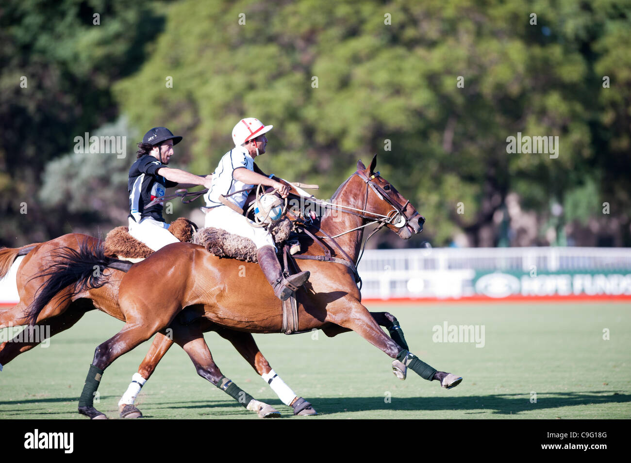 Grand Final of 70th Argentina Pato Open. Pato, also known as Horseball ...